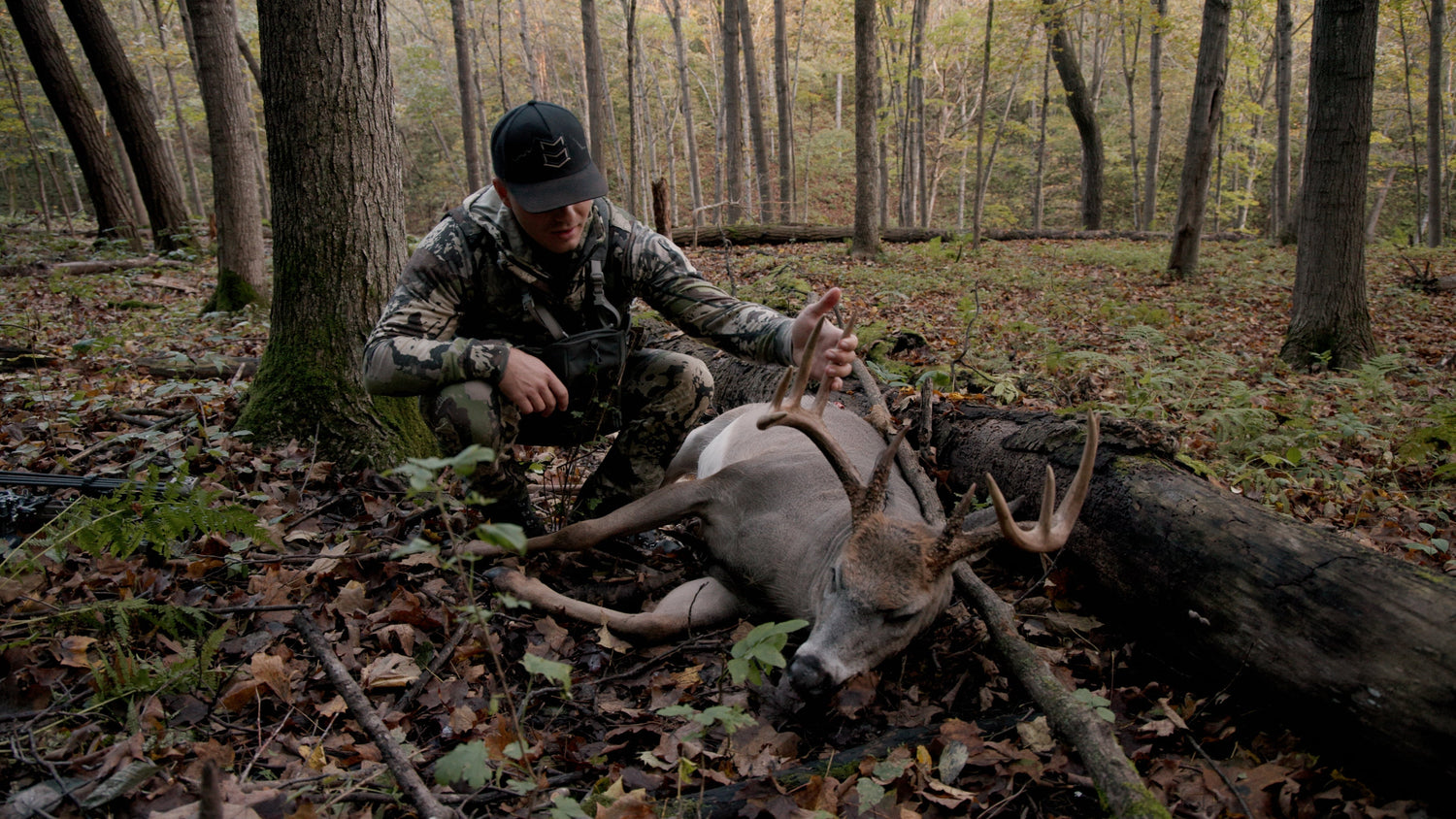 How To Score a Deer Rack: A Step-By-Step Guide for Hunters Who Want th ...